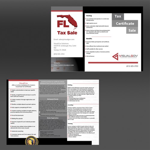 Design a VisualGov Sales Brochure using our logo and supplied text ...