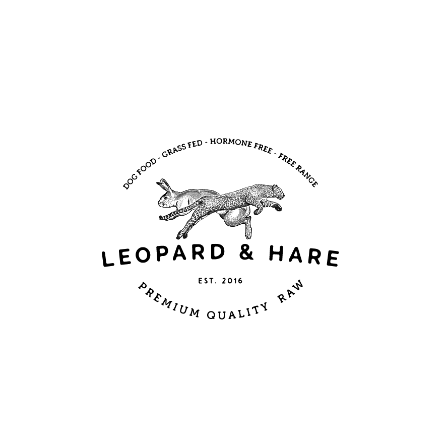 Leopard Logos - Free Leopard Logo Ideas, Design & Templates