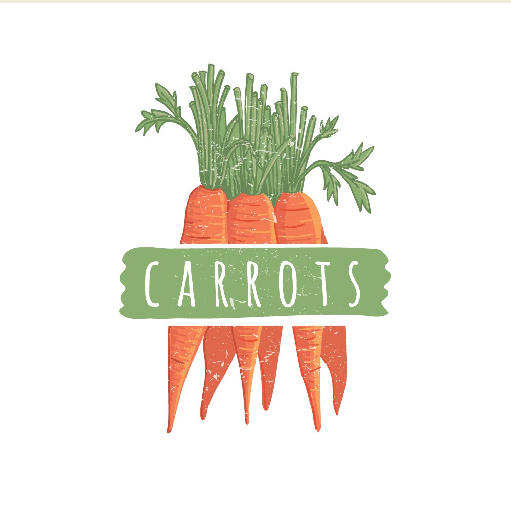 Carrot Logos - Free Carrot Logo Ideas, Design & Templates