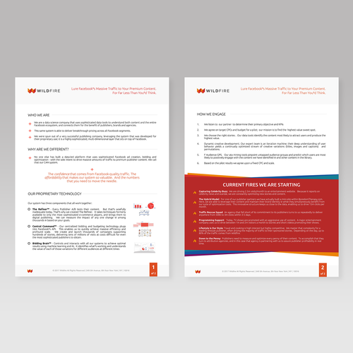 digital agency executive summary | Poster contest