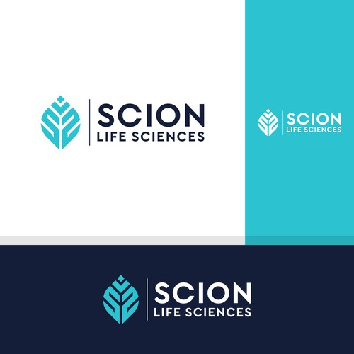 Designs | Putting the Finishing Touches on Our Life Sciences Company ...