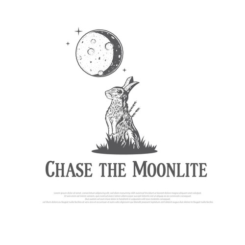 Designs | Chase the Moonlite | Logo & brand guide contest