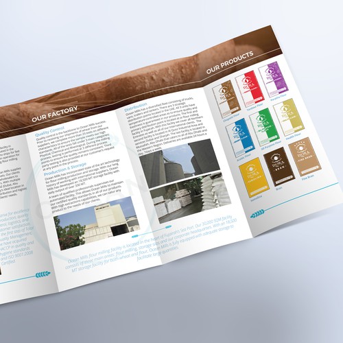 Flour Brochure | Brochure contest