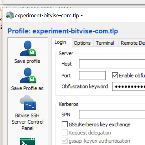 Design new icons for Bitvise software | Icon or button contest