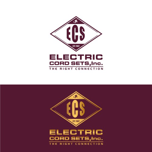 ECS New Logo Contest | Logo design contest