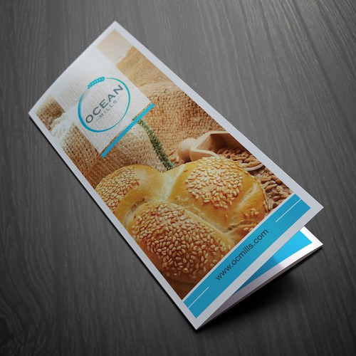 Flour Brochure | Brochure contest