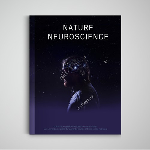 Illustration for the cover of prestigious neuroscience journal, Nature ...