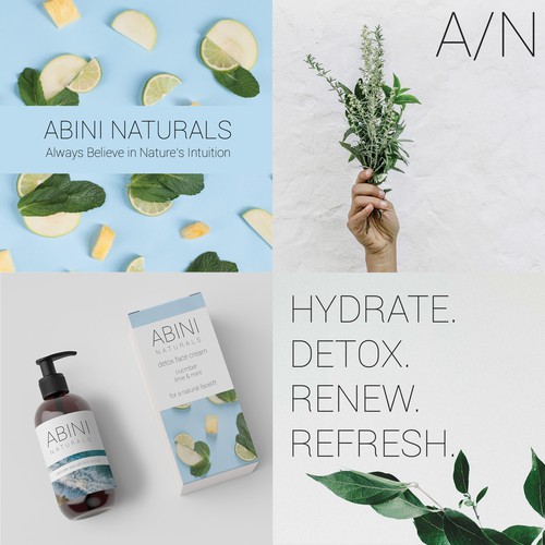 Create a modern natural skincare company Abini Naturals logo | Logo ...