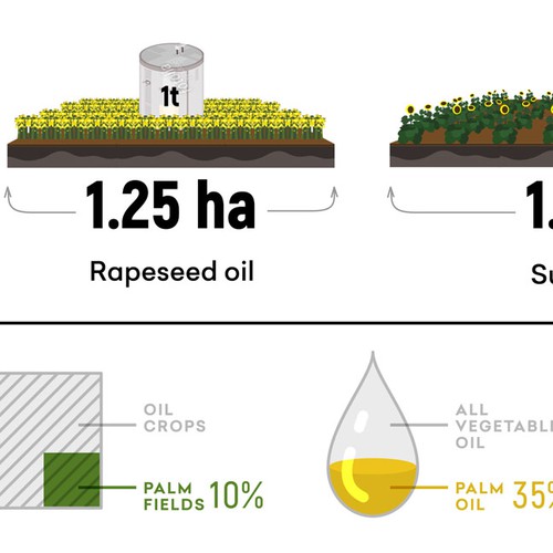 Infographic telling the story of palm oil impacts on biodiversity ...