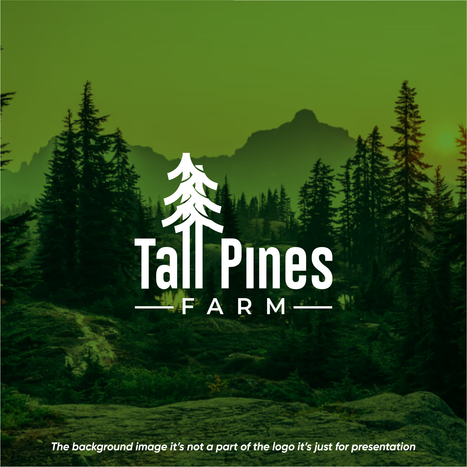 Pine Tree Logos - Free Pine Tree Logo Ideas, Design & Templates
