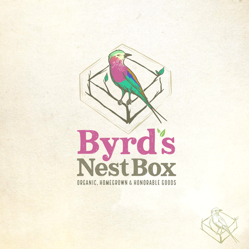 Designs | Organic Food Brand inspired by cultures of the African ...