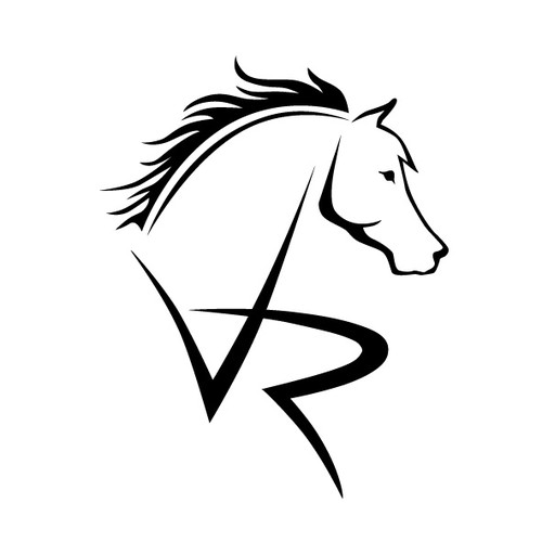DESIGN A ONE OF A KIND HORSE THEMED LOGO FOR A EQUINE PROFESSIONAL ...
