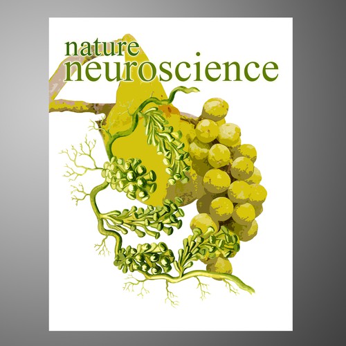 Illustration for the cover of prestigious neuroscience journal, Nature ...