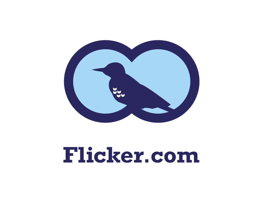 Flicker logo | Logo design contest