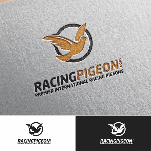 Racing Pigeon Logo Design