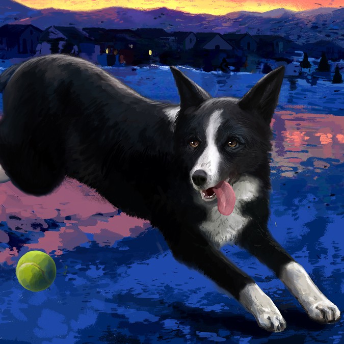 Stylized illustration of a border collie dog (for framing ...