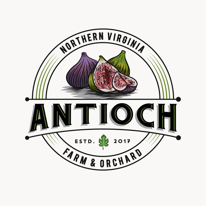 Design Logo for a Fig Orchard | Logo design contest