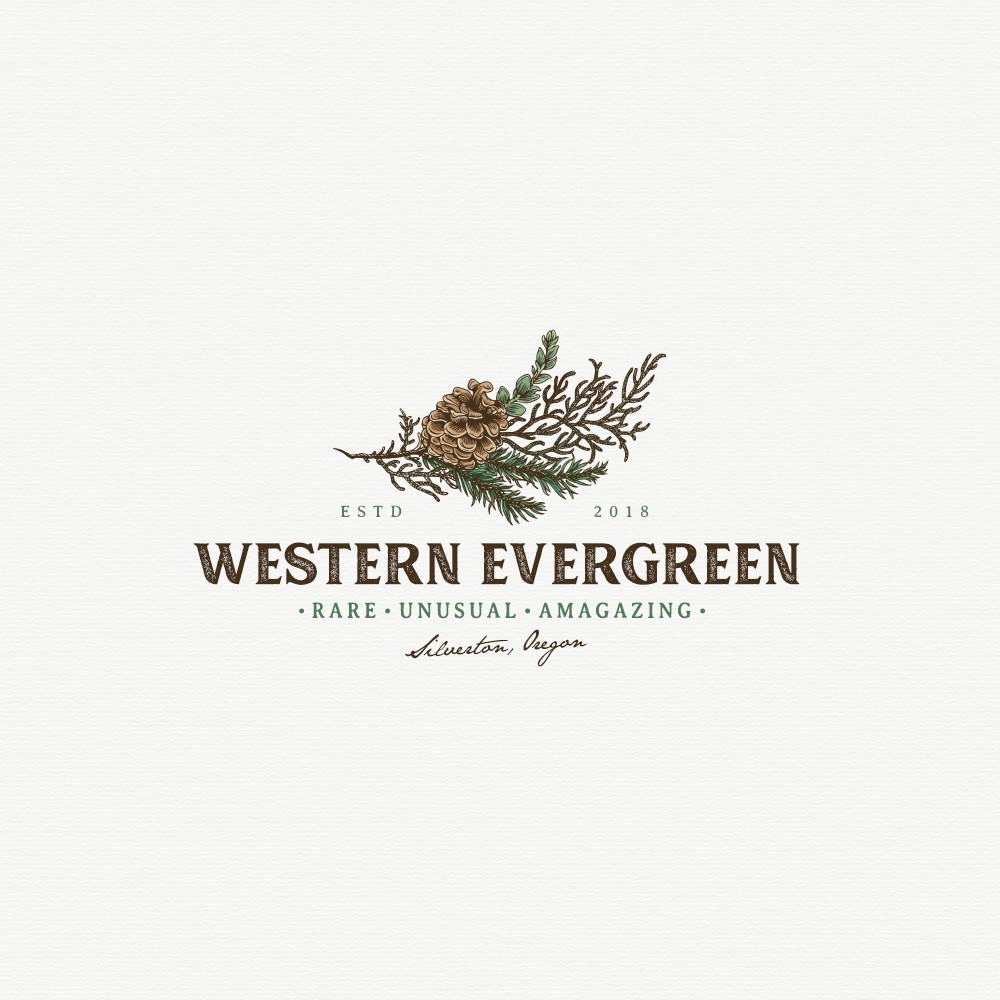 Evergreen Logos - Free Evergreen Logo Ideas, Design & Templates