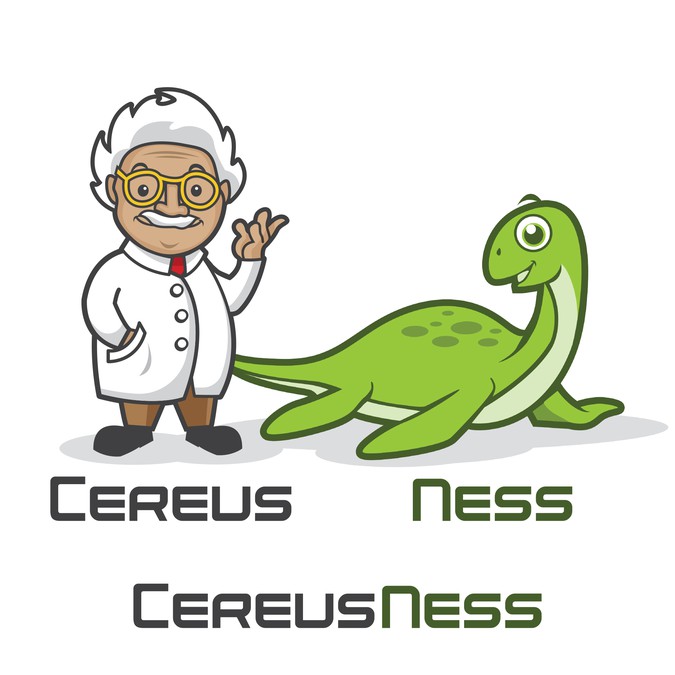 Design a revolutionary character to compliment our existing character ...