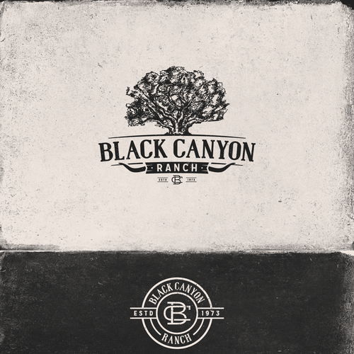 Create a logo that captures the heart of Black Canyon Ranch | Logo ...