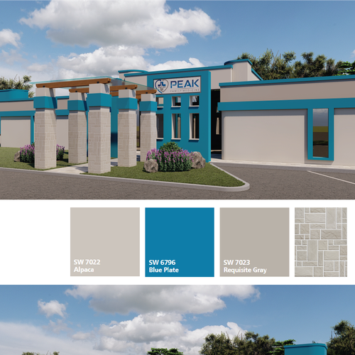 Designs | Doctors need HELP. Need ideas. PAINT a new look for the ...