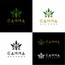 Logo design: create a custom logo with a professional designer | 99designs