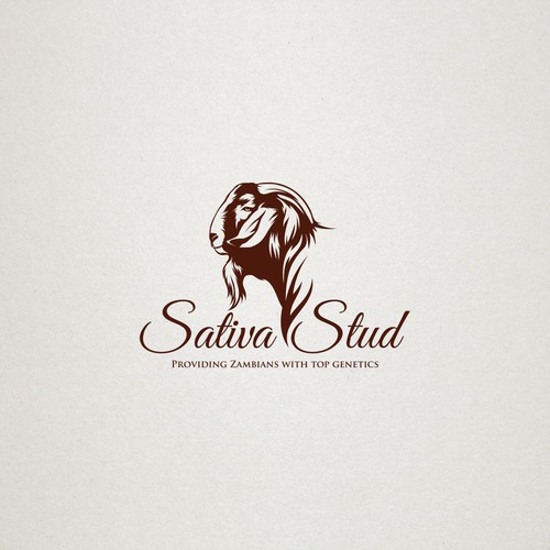Designs | Boer Goat Stud | Logo design contest