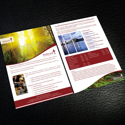 Designs | Create the next brochure design for Redwood Asset Management ...