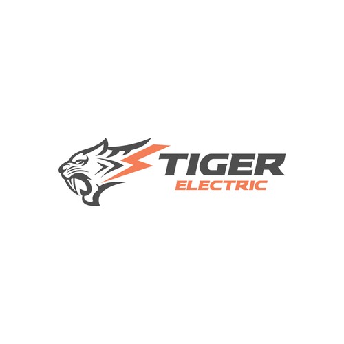 Designs | Multi-Million Dollar Electrical Construction Company Seeks ...