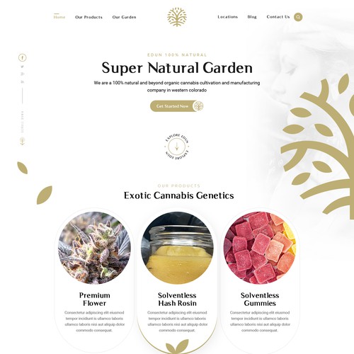 Designs | We need a powerful web design for our Sustainable Cannabis ...