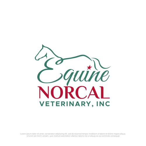 Designs | Looking for an eye catching and powerful equine veterinary ...