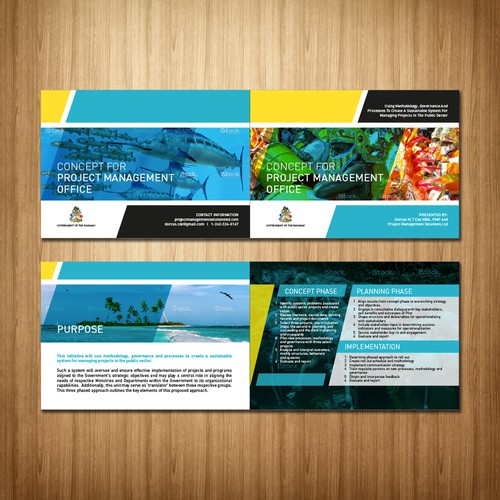 Create a Captivating Brochure for the Government of The Bahamas ...