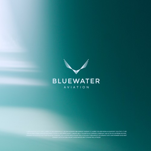 Designs | Aviation related logo for a fixed base operator (FBO) in ...