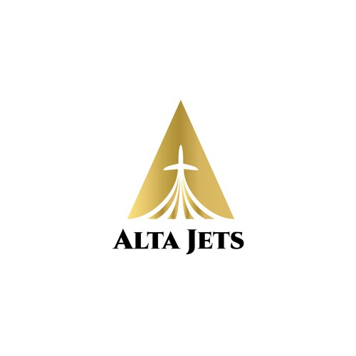 Logo for a Private Jet company | Logo design contest