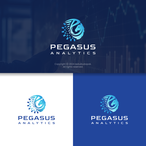Designs | Pegasus Analytics - a tech company designing software to help CEOs and CFOs of medium ...