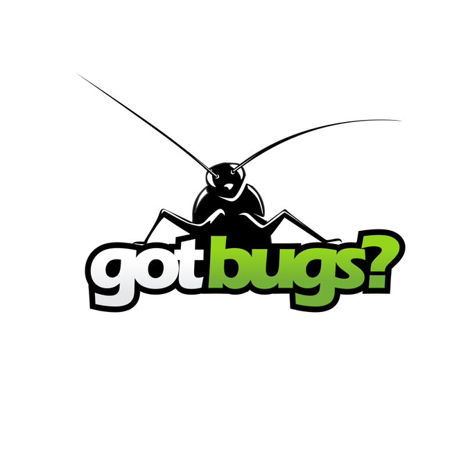 Got Bugs? | Logo & brand identity pack contest