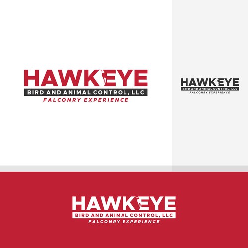Designs | Logo for Falconry Company | Logo design contest