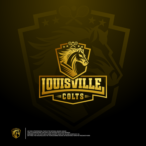 Designs | Create a Pro Sports Team Logo! | Logo design contest
