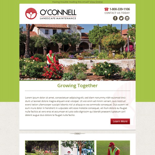 Create a email newsletter template for a cutting edge landscape company ...