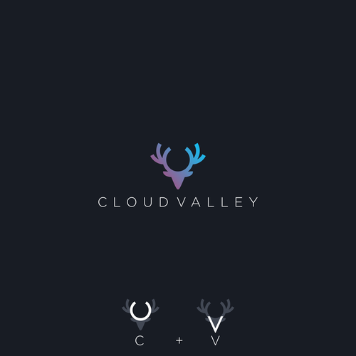 Help us create Cloud Valley branding! | Logo & brand identity pack contest