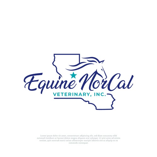 Designs | Looking for an eye catching and powerful equine veterinary ...