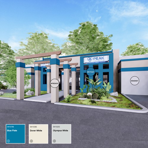 Designs | Doctors need HELP. Need ideas. PAINT a new look for the ...