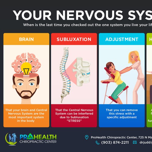Infographic Nervous System
