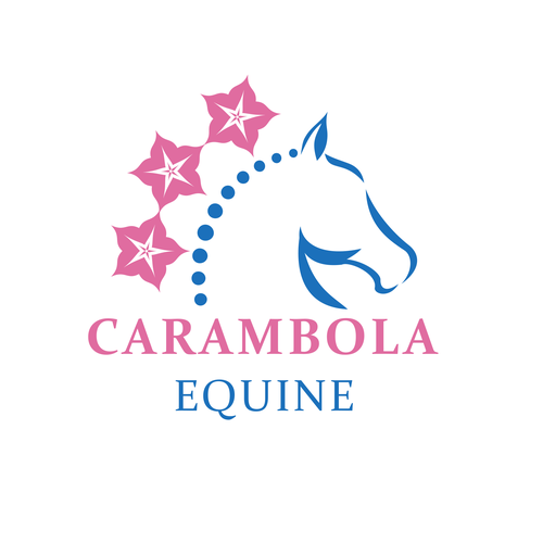 Designs | Starting a business! Sports medicine equine veterinarian ...