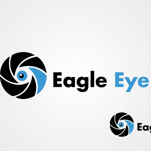 Create a logo with an eagle+camera lens eye or car+dashcam for Eagle ...