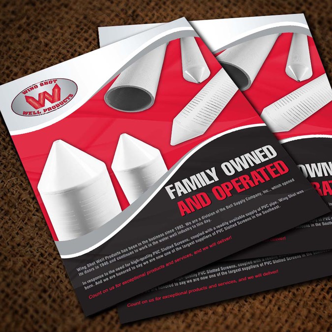 Create a sleek, professional, two-sided flyer for our company ...