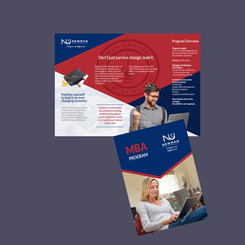 University needs an engaging promotional piece for online MBA program ...