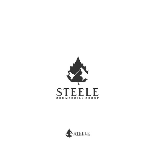 Designs | Steele Commercial Group | Logo design contest
