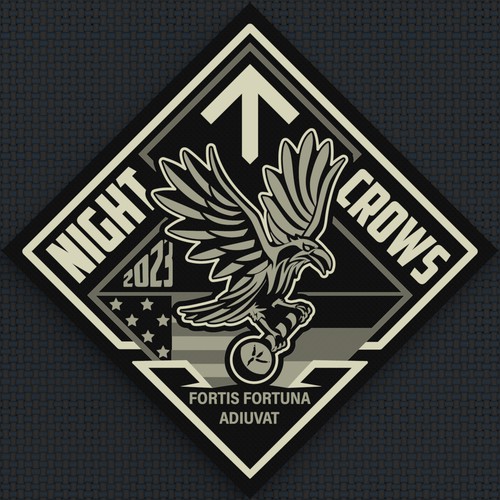 Designs | NIGHT CROWS - Military Special Operations Unit Logo design ...