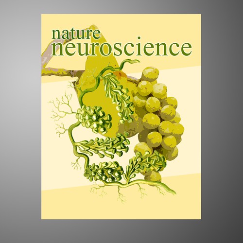 Illustration for the cover of prestigious neuroscience journal, Nature ...